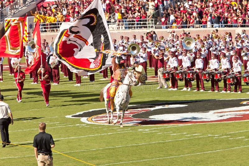 Crowd at Football Game editorial photo. Image of florida - 20957206