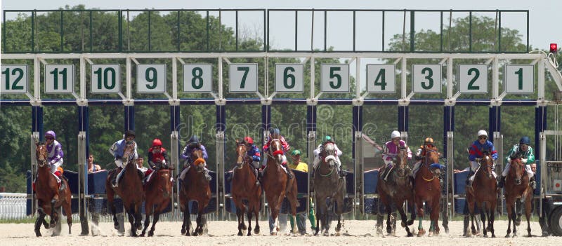 Start Gates for Horse Races. Editorial Stock Photo - Image of running ...