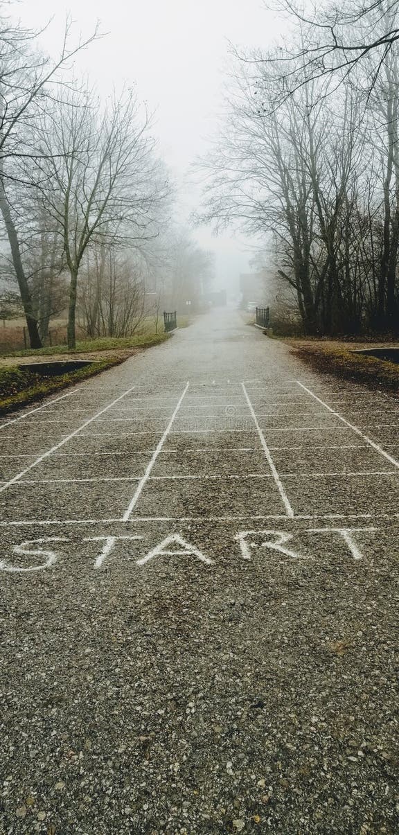 Start grid stock image. Image of misty, trees, start - 172520645