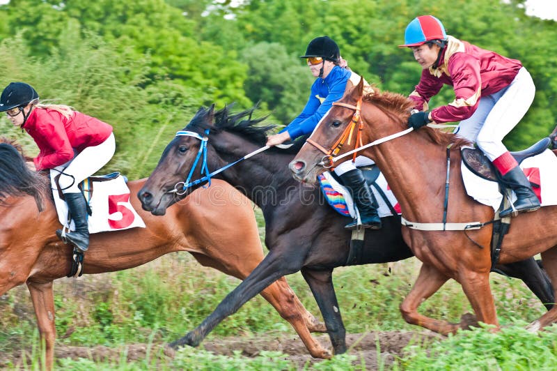 Start of Racing Horses Starting a Race Editorial Photography - Image of ...