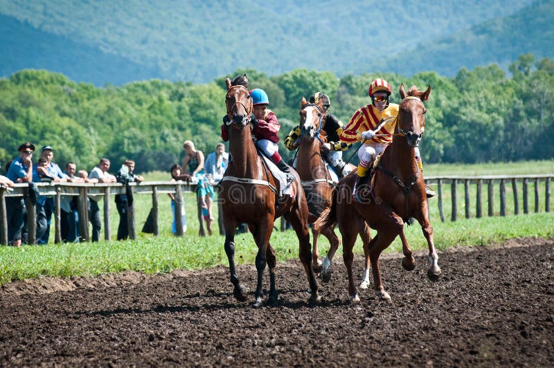 Start of Racing Horses Starting a Race Editorial Stock Image - Image of ...
