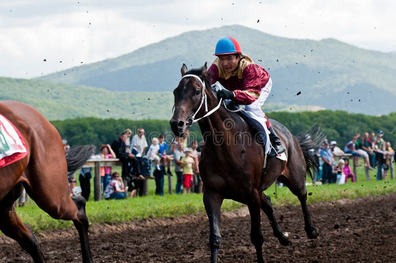 Start of Racing Horses Starting a Race Editorial Photography - Image of ...