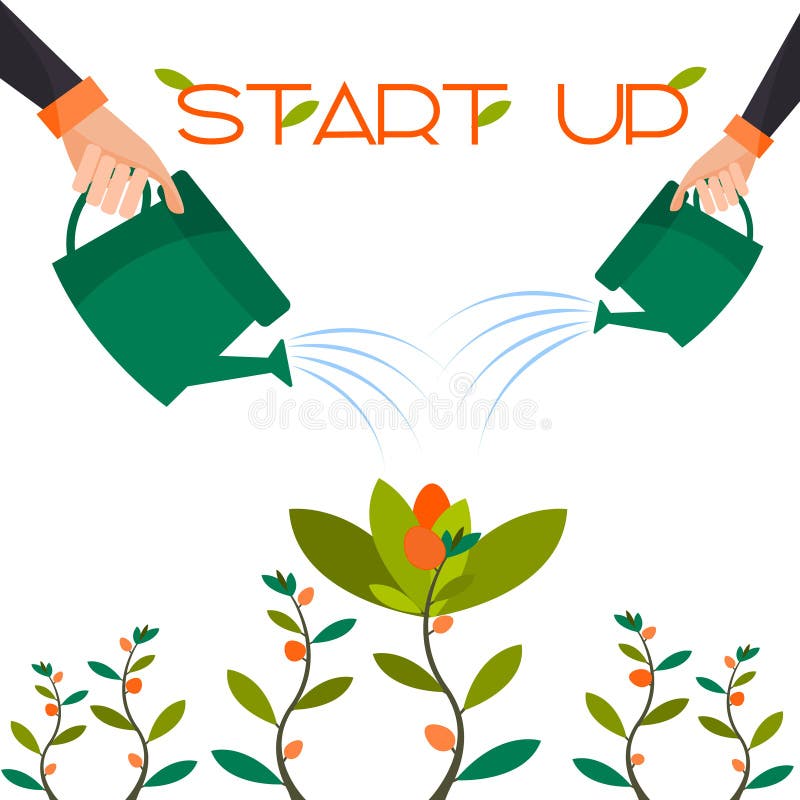 Start-up in the Form of a Flower Attachment Profit Expectation Stock ...