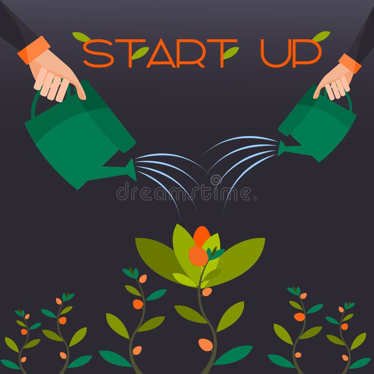 Start-up in the Form of a Flower Attachment Profit Expectation Stock ...