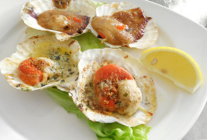 Starters, Baked Scallops Seafood Stock Image - Image of barbeque ...