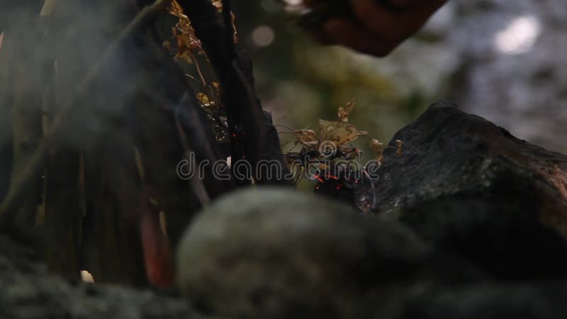 Starting a Camp Fire in Wild Forest Stock Footage - Video of lifestyle ...