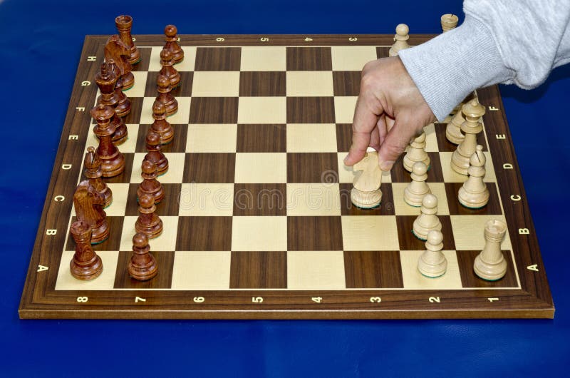 Starting Chess Figure Setup Isolated Stock Photo - Image of leisure ...