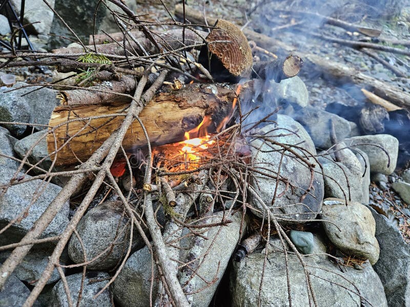Starting a Fire in a Campground Fire Pit in the Pine Forests of ...