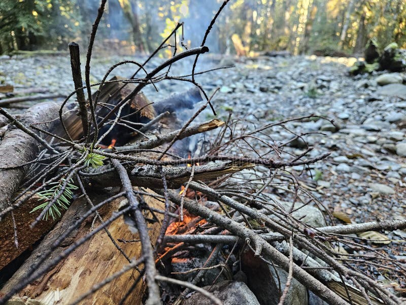 Starting a Fire in a Campground Fire Pit in the Pine Forests of ...