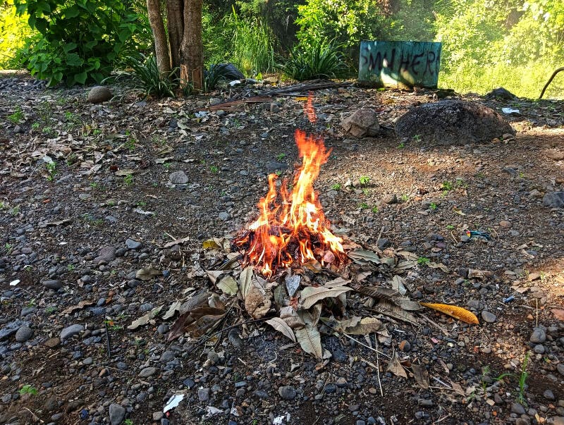 Starting Fire Dry Leaf Stock Photos - Free & Royalty-Free Stock Photos ...