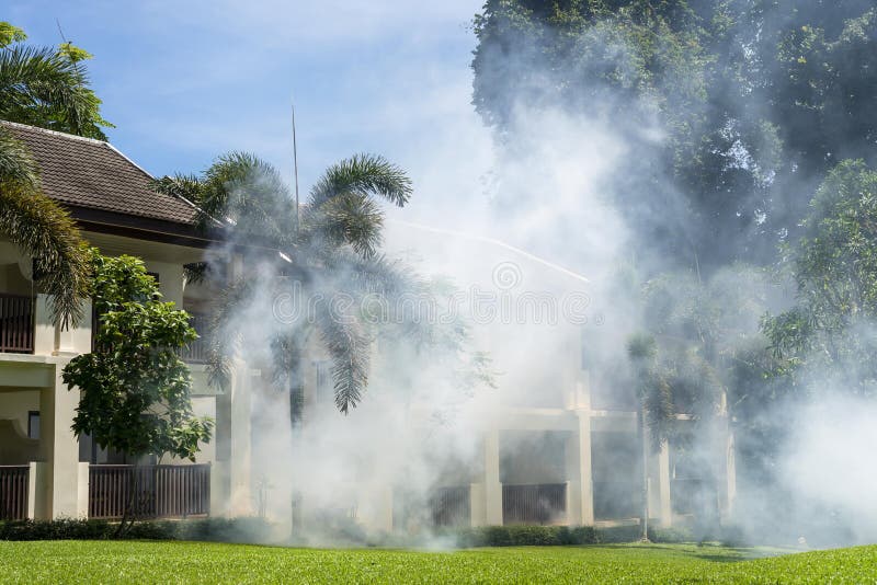 Starting a Fire on the Property. Heavy Smoke Billows from the Building ...