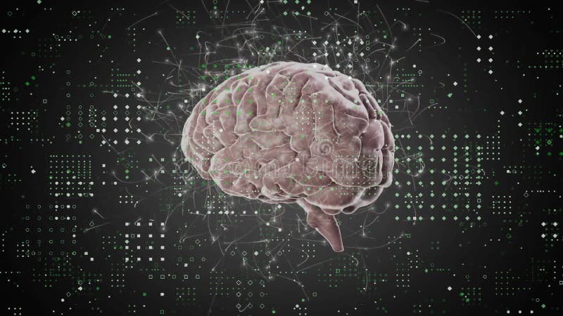 Starting Frontal Brain 3d Model Rotating Clockwise With Pulsing Nodes Showing Neural