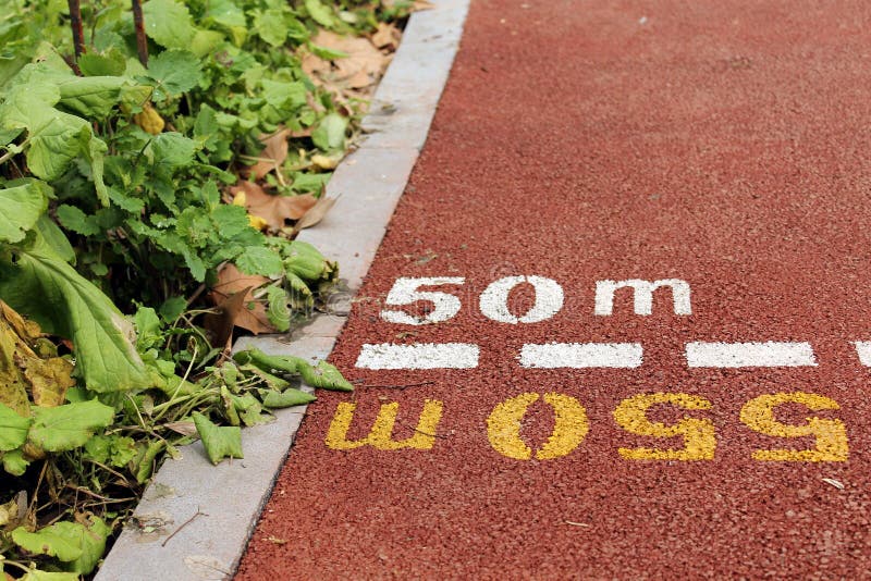 The starting line stock photo. Image of leaves, colors - 24636676