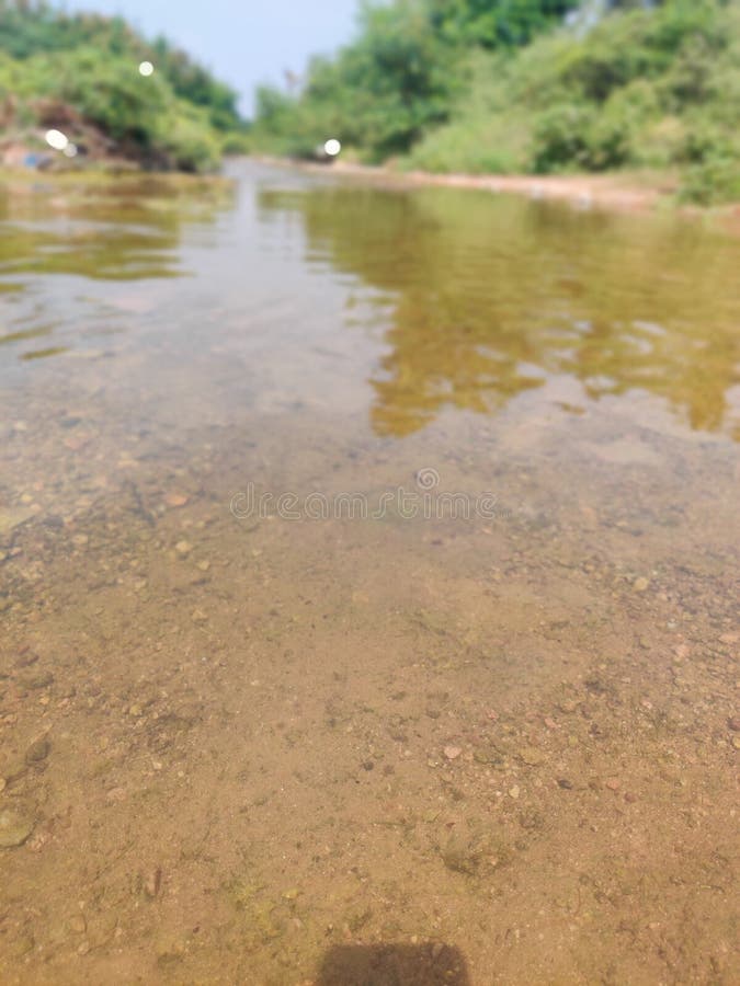 Stream, Starting Point of River Stock Photo - Image of stream, wetland ...