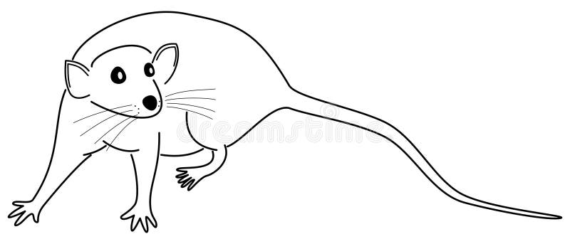 A Startled Rat Observes the Surroundings in Surprise Stock Illustration ...