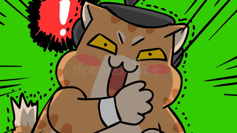 Startled Sumo Cat Animation on Green Screen Stock Video - Video of ...