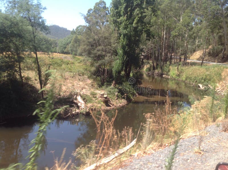 State forest. . stock image. Image of australia, landscape - 70832275