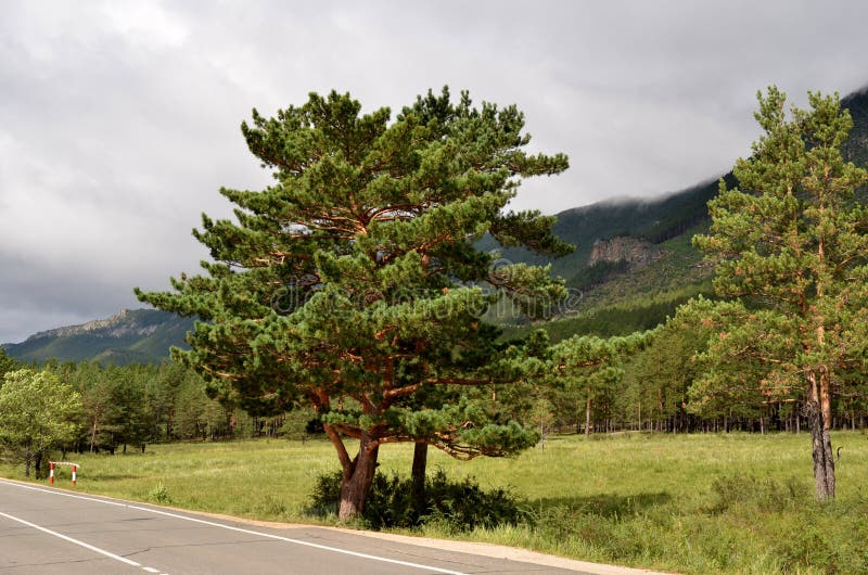 Lake Borovoe, State National Natural Park Stock Image - Image of ...