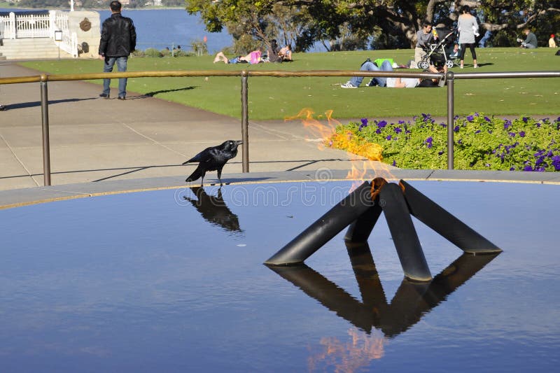 State War Memorial - Perth - Australia Editorial Photo - Image of crow ...