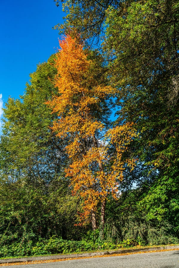 Seastons Stock Photos - Free & Royalty-Free Stock Photos from Dreamstime