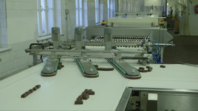 Freshly Made Chocolates on a Conveyor Dividing Line in a Chocolate ...