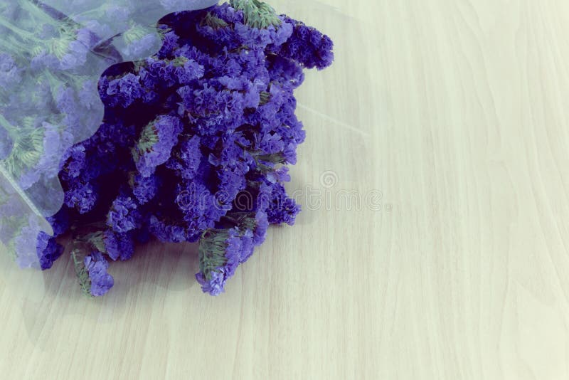 Statis Flower on Wooden Table with Vintage Photo Filter Stock Image ...