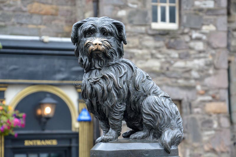 Statua Del Cane Greyfriars Bobby a Edimburgo Fotografia Editoriale ...