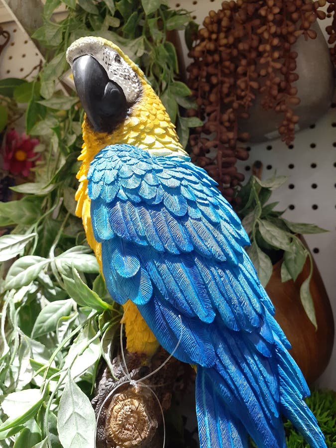 Portrait of parrot statue stock image. Image of closeup - 205784011
