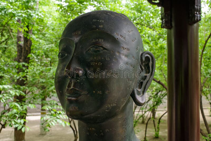 Statue of Ancient Medical Acupuncture Points Stock Photo - Image of ...
