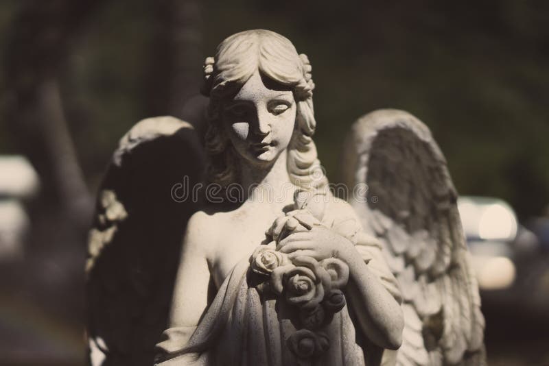 Sunshine Angel Stock Photos - Download 1,137 Royalty Free Photos