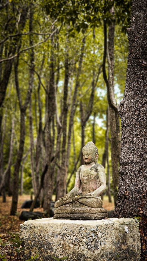 A Statue of Buddha in the Forest Stock Photo - Image of temple, wood ...