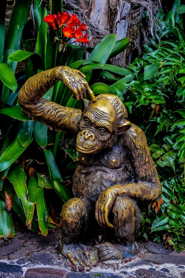 Statue of Chimpanzee stock image. Image of wildlife - 311767355