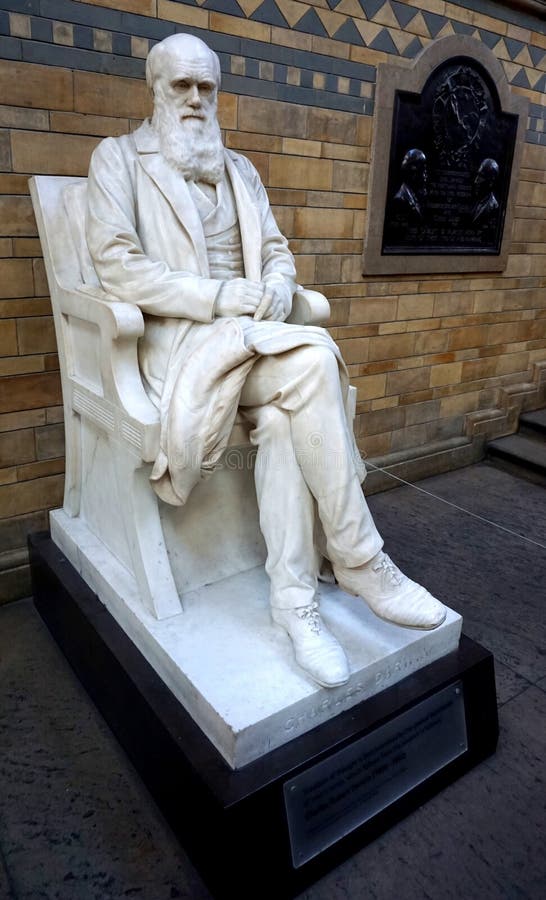 Statue de Charles Darwin photographie éditorial. Image du angleterre ...