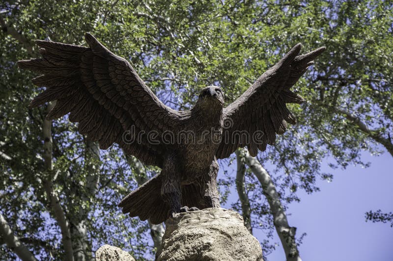 Eagle Wild Birds in the Park Stock Photo - Image of bird, open: 116034752