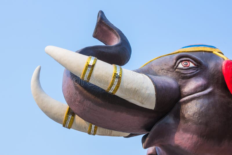 Head from an Asian Elephant (Elephas Maximus) Stock Photo - Image of ...
