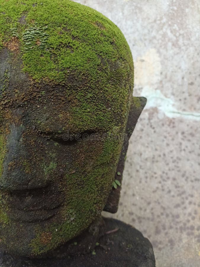 Statue of a Human Head that is Placed Outdoors, so that Overgrown with ...