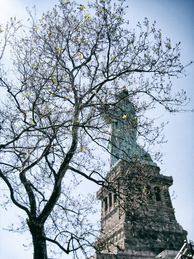 Statue of Liberty, NYC, USA Stock Image - Image of back, tourism: 73720559