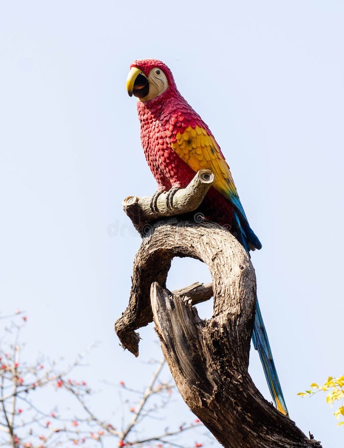 A statue of macaw parrot stock image. Image of animal - 368106773