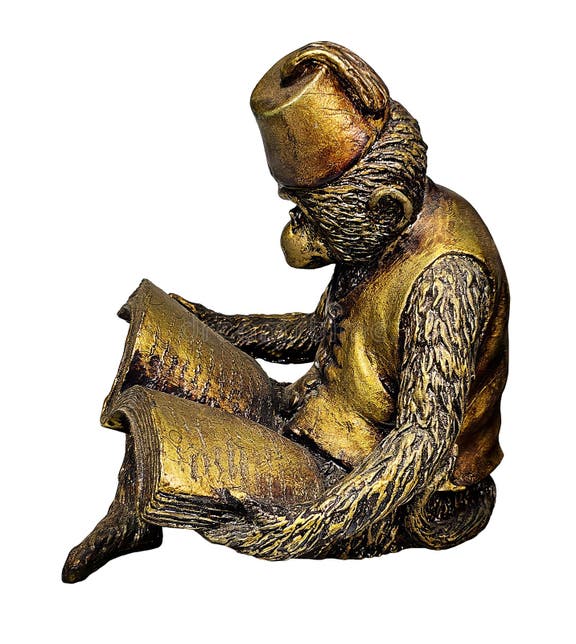 Monkey Reading stock image. Image of monkey, reading - 340245915
