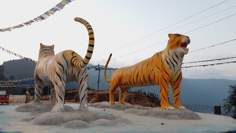 Statue of a Pair of Tiger ???? Editorial Image - Image of wildlife ...
