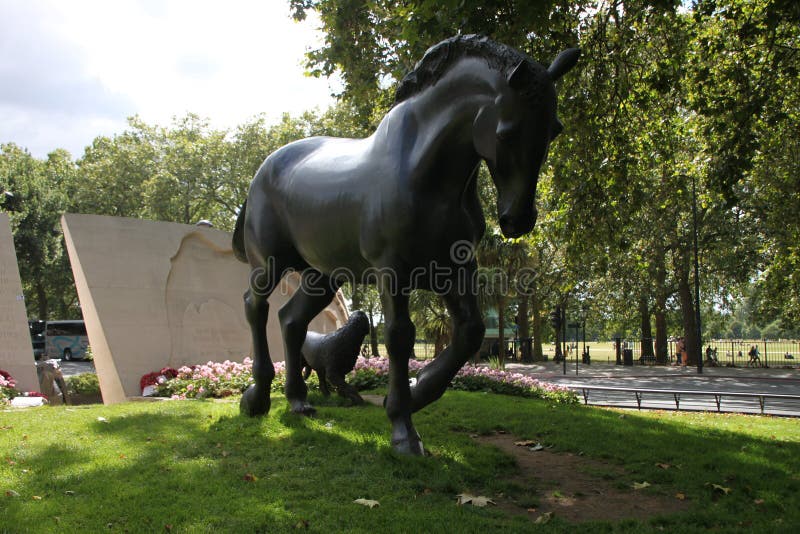 Statue of a Stalion in London Stock Photo - Image of london, statue ...