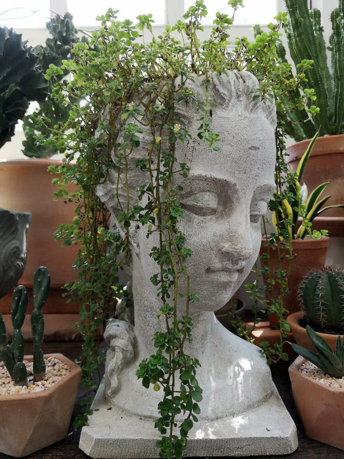 The Statue of a Tree-haired Man Stock Photo - Image of asia, girl ...