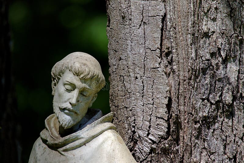 Statue and Tree stock image. Image of bark, head, texture - 275954423