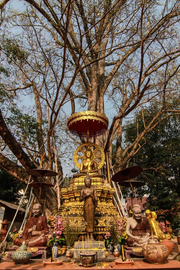 Statue under a tree stock image. Image of yellow, tree - 71659699