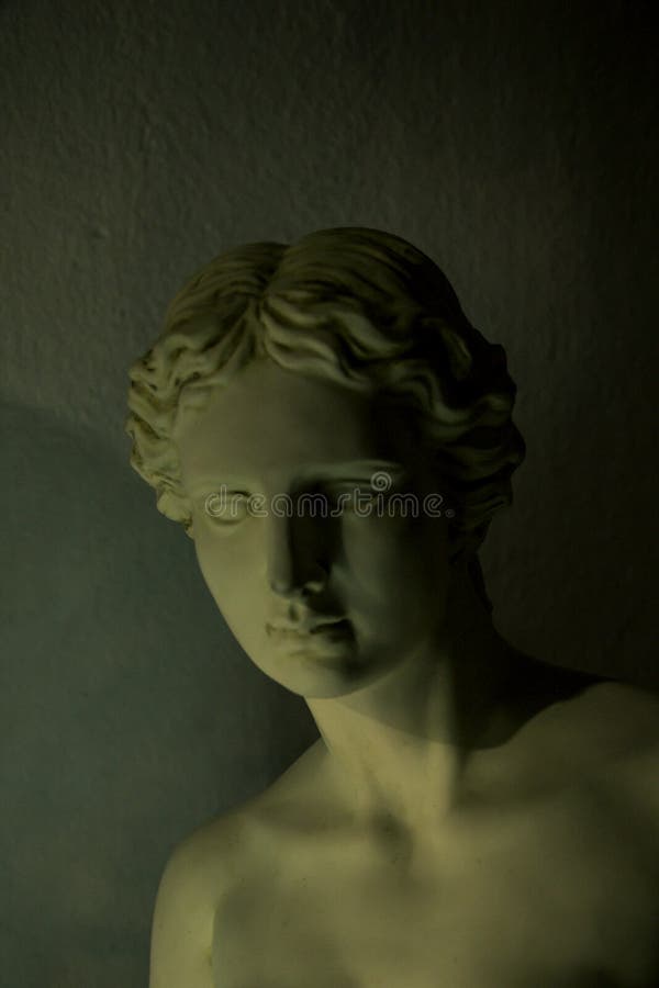 Venus in shadow. stock image. Image of green, 700d, sclupture - 125940547