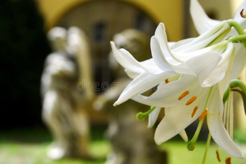 Statues and lily stock image. Image of lily, angel, antique - 4290101