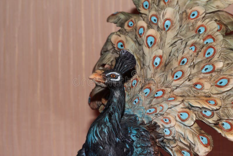 Peacock Made â€‹â€‹of Shells Stock Photo - Image of enrich ...