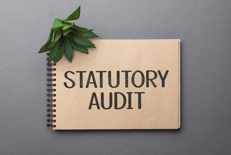 Statutory Audit Stock Photos - Free & Royalty-Free Stock Photos from ...