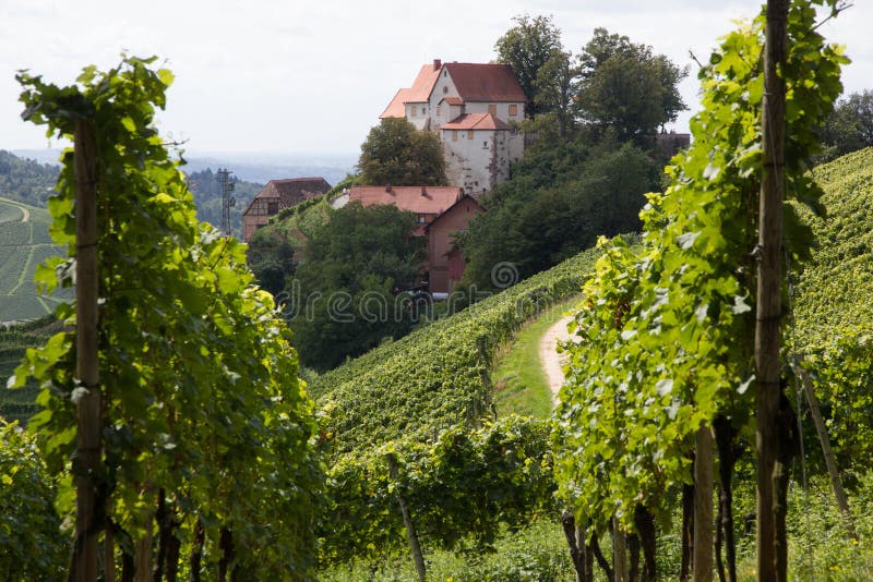Staufenberg castle editorial image. Image of summer, germany - 98317140