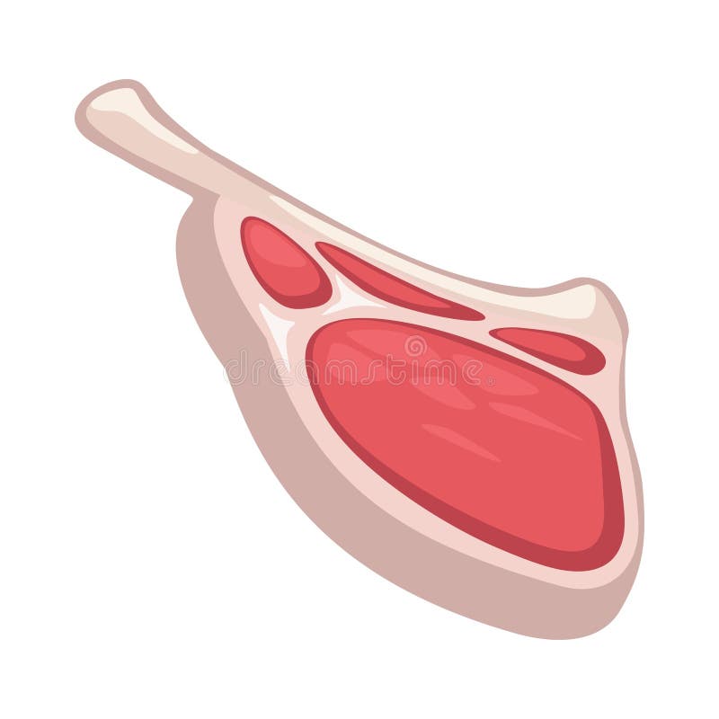 Steak with Bone. Vector Color Vector Illustration Stock Vector ...